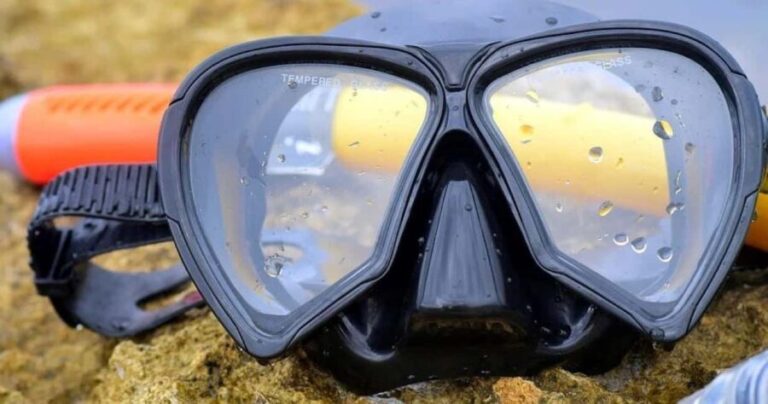 From Cancun: Snorkeling Underwater Museum - Who Will Love This Tour?