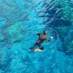 From Cancun: Whale Sharks Snorkeling - Who Will Love This Tour?