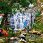 From Cancun: Xcaret Plus Park, the complete experience - Who Is This Tour Best Suited For?