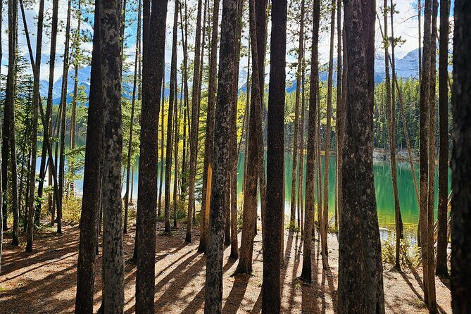 From Canmore/Banff: Columbia Icefield Skywalk Peyto Private Tour - Is the Price Justified?