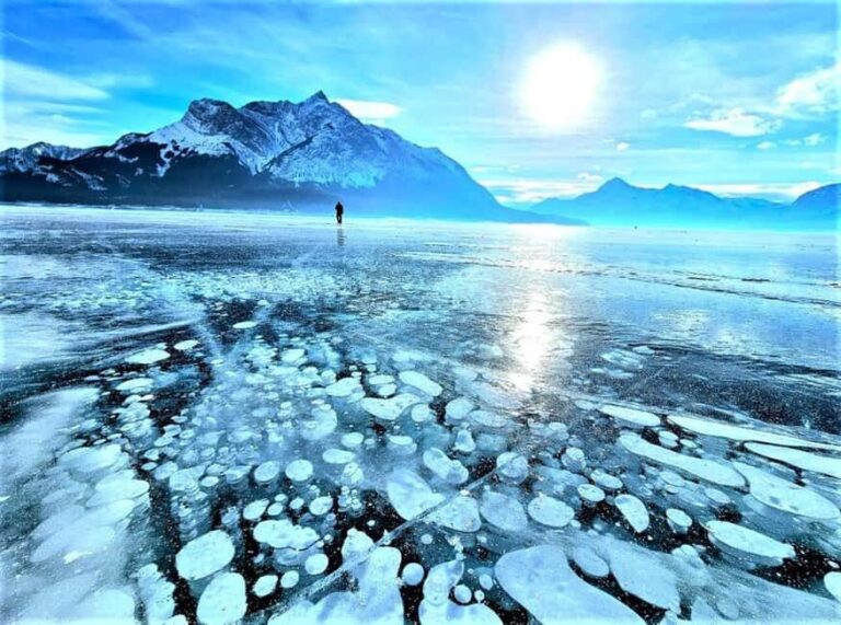 From Canmore/Banff: Icefields Parkway & Abraham Lake Bubbles - Authentic Insights from Reviews