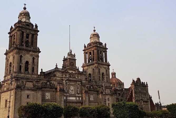 From cdmx: Citywalking Private Tour by cdmx - The Practical Details