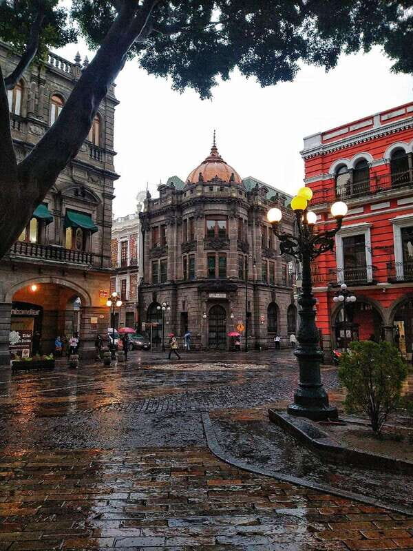 FROM CDMX: Puebla - Oaxaca - Chiapas - Palenque - Tabasco 7 DAYS - Transportation, Accommodation, and Overall Value