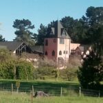 From Christchurch: Guided Local Wine Tours in Waipara - The Itinerary Breakdown