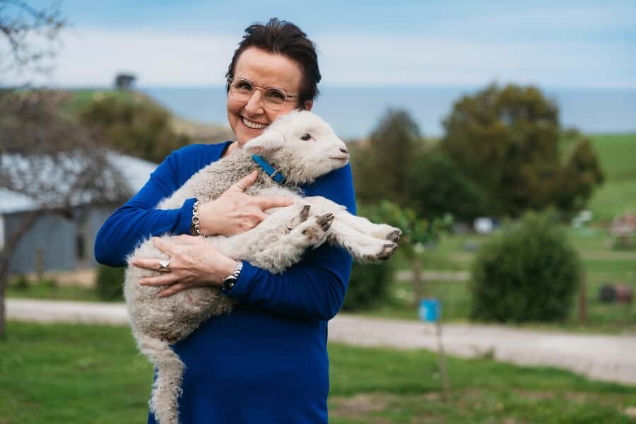 From Christchurch: Sheep Farm Experience with Lunch & Winery - An Inside Look at the Sheep Farm Experience from Christchurch