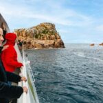 From Coles Bay: Wineglass Bay Cruise with Lunch - Wildlife Encounters and Scenic Highlights