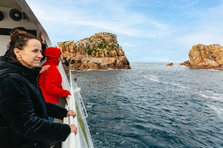 From Coles Bay: Wineglass Bay Cruise with Lunch - Wildlife Encounters and Scenic Highlights