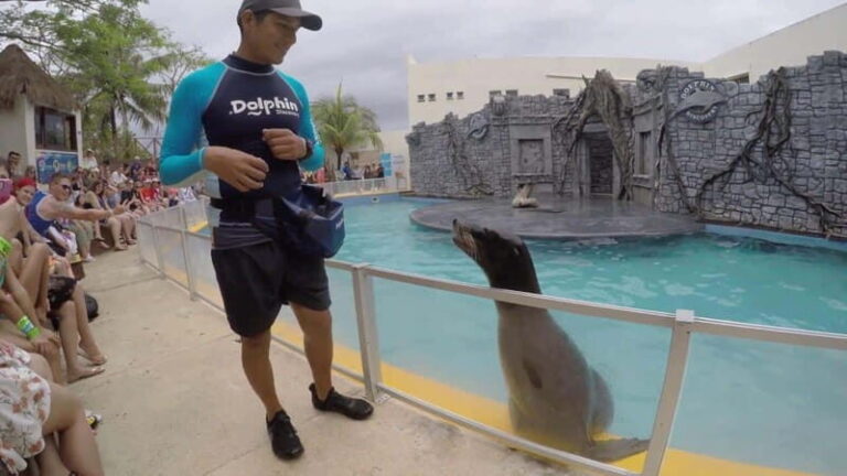 From Cozumel: Chankanaab Park Day pass with Open Bar & Lunch - What We Love and What to Consider