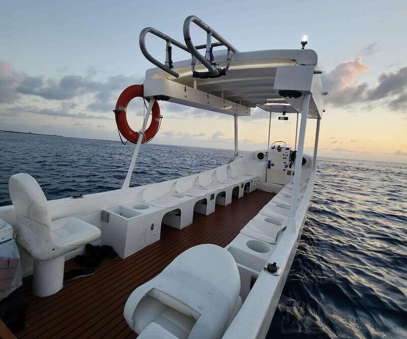 From Cozumel: Double Tank Scuba Diving for Certified Divers - The Experience: What Makes This Tour Stand Out