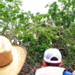 From Crucecita: Ventanilla, Zipolite, and Puerto Ángel Tour - Transport, Timing, and Group Dynamics