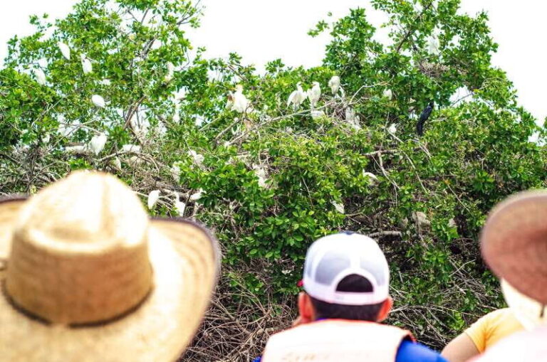 From Crucecita: Ventanilla, Zipolite, and Puerto Ángel Tour - Transport, Timing, and Group Dynamics