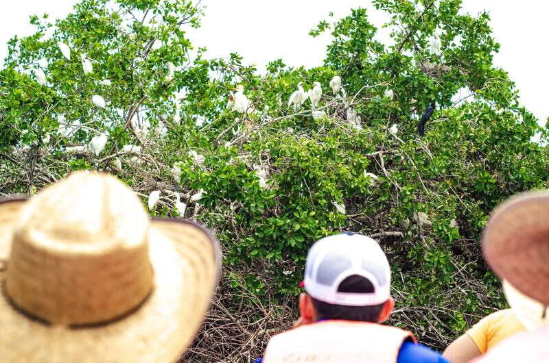 From Crucecita: Ventanilla, Zipolite, and Puerto Ángel Tour - Transport, Timing, and Group Dynamics