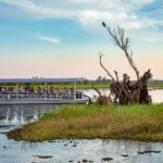 From Darwin: 2-Day Kakadu Cooinda & Yellow Water Cruise - A Deep Dive into the Itinerary