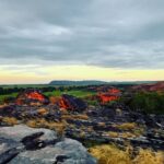 From Darwin: 3-Day Kakadu and Litchfield National Park Tour - Practical Details and Tips