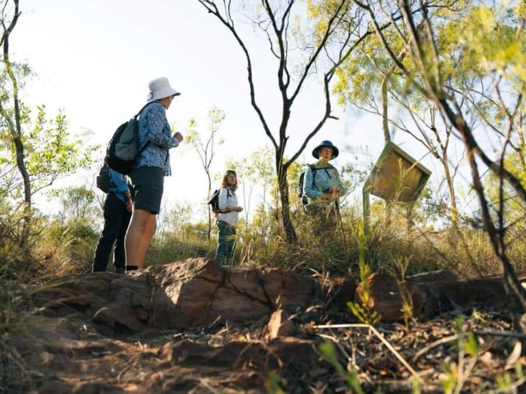 From Darwin: 4-Day Kakadu, Katherine & Litchfield Explorer - Kakadu National Park: A Natural and Cultural Marvel