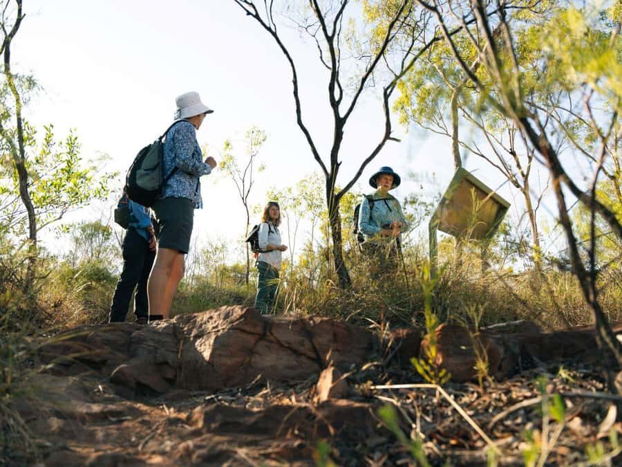 From Darwin: 4-Day Kakadu, Katherine & Litchfield Explorer - Kakadu National Park: A Natural and Cultural Marvel
