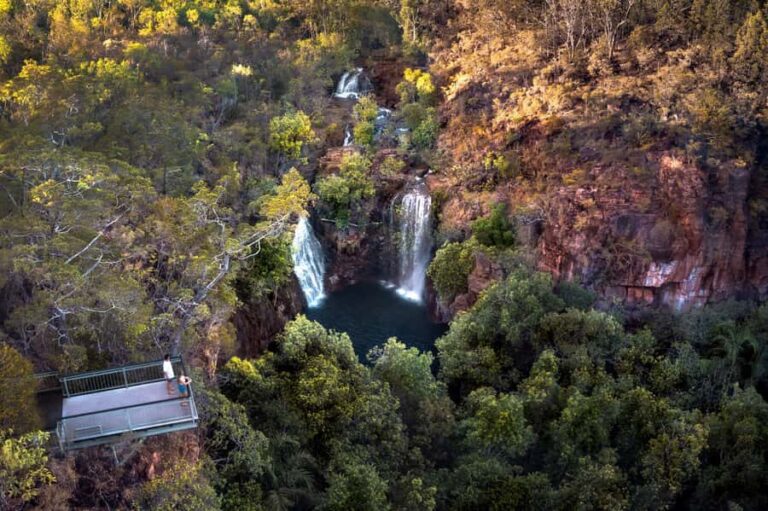 From Darwin: Litchfield National Park & Waterfalls Day Trip - A Deep Dive into the Experience