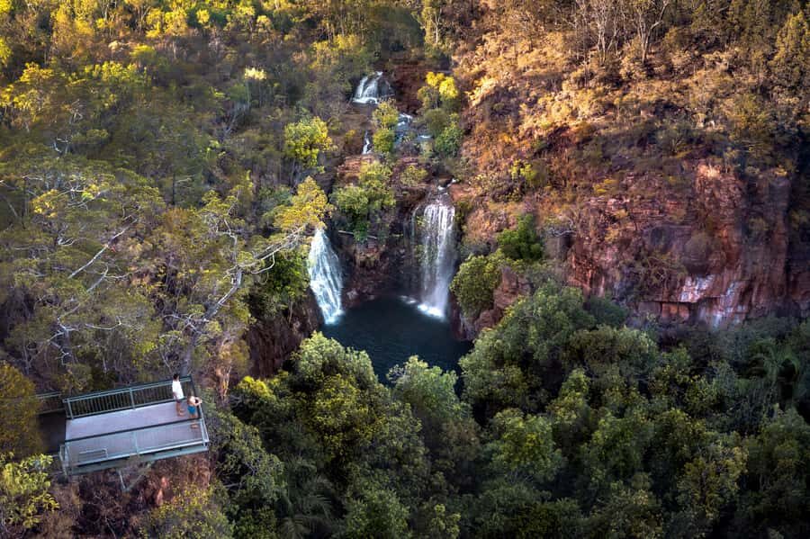 From Darwin: Litchfield National Park & Waterfalls Day Trip - A Deep Dive into the Experience