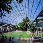 From Denver: Small Group Mount Evans & Hot Springs Day Tour - Exploring Colorado’s Natural Beauty in a Day: A Review of the Small Group Mount Evans & Hot Springs Tour