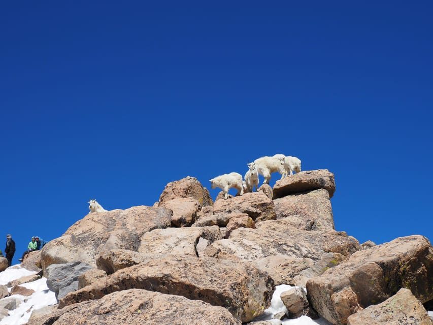 From Denver: Trip to Mount Blue Sky Summit and Glacial Lake - Practical Details & What You Need to Know