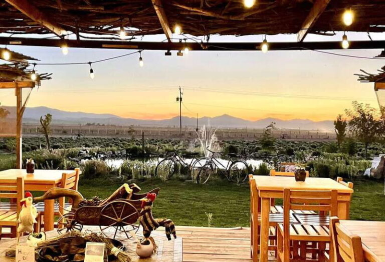 From Ensenada: Ojos Negros Valley Cheese & Wine Tasting Tour - Itinerary Breakdown: What to Expect