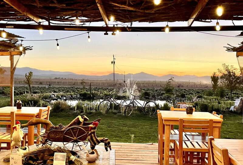 From Ensenada: Ojos Negros Valley Cheese & Wine Tasting Tour - Itinerary Breakdown: What to Expect