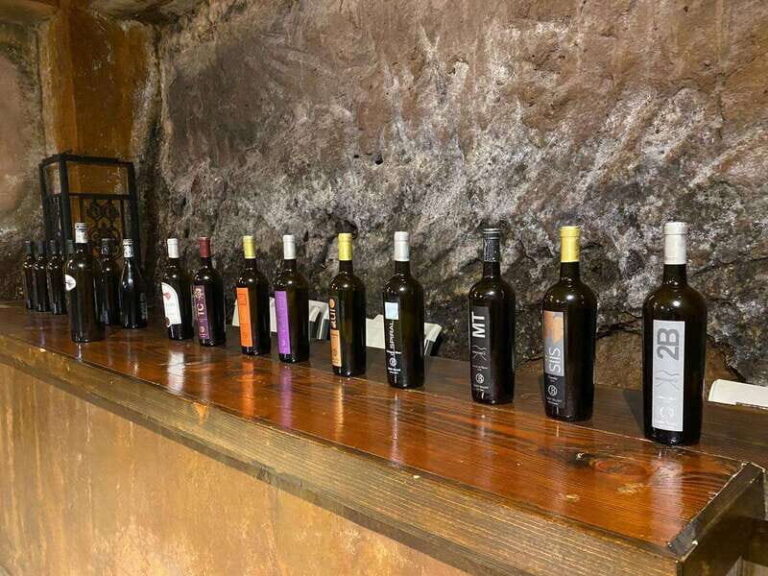 From Ensenada: Wine Tour at Guadalupe Valley Ensenada - Practical Details and Tips