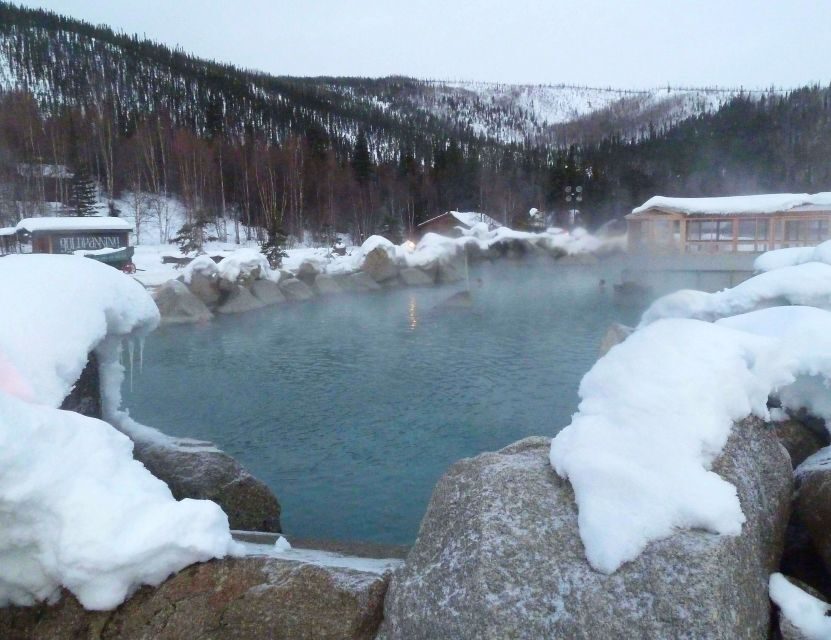 From Fairbanks: Chena Hot Springs Northern Lights Tour - The Value of the Tour