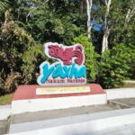 From Flores: Yaxha + Topoxte All-Inclusive Private - An In-Depth Look at the Tour Experience