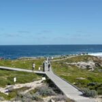 From Fremantle: Rottnest Island Ferry & Bus Day Tour - The Itinerary Breakdown: What to Expect