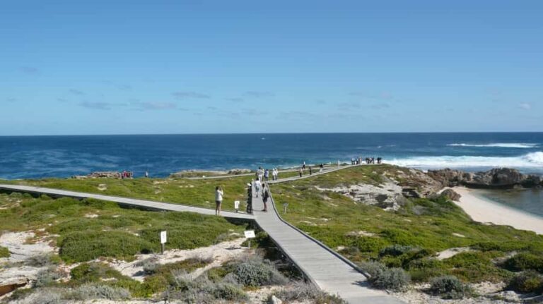 From Fremantle: Rottnest Island Ferry & Bus Day Tour - The Itinerary Breakdown: What to Expect
