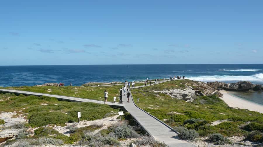 From Fremantle: Rottnest Island Ferry & Bus Day Tour - The Itinerary Breakdown: What to Expect
