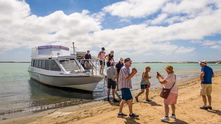 From Goolwa: Half-Day Coorong Experience - The Beach and Dune Walk: Authentic Land and Culture