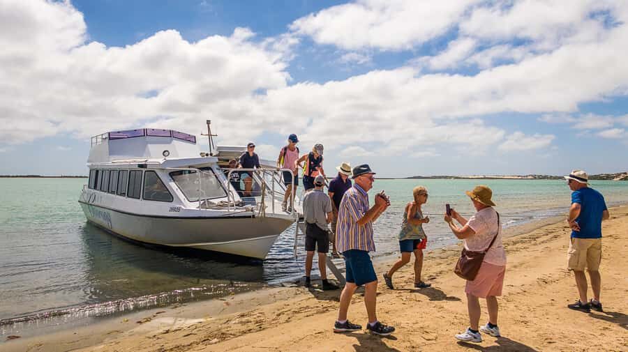 From Goolwa: Half-Day Coorong Experience - The Beach and Dune Walk: Authentic Land and Culture