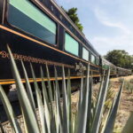 From Guadalajara: La Rojeña Distillery & Jose Cuervo Train - Is This Tour Worth the Price?