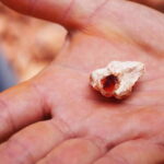 From Guadalajara: Magdalena Opal Experience - Why This Tour Is a Great Value