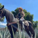 From Guadalajara: Tequila Town and Cantaritos El Guero - What Sets This Tour Apart?