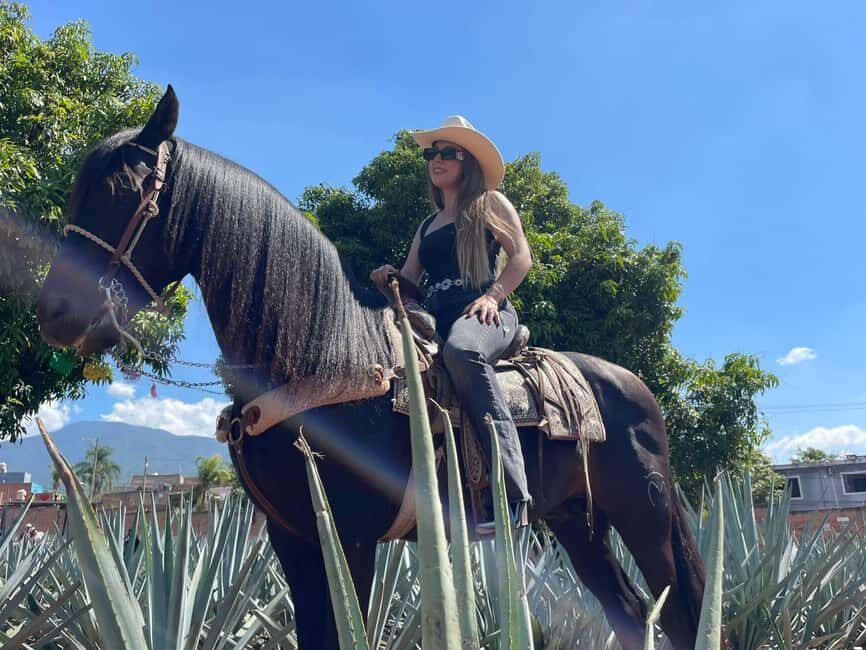 From Guadalajara: Tequila Town and Cantaritos El Guero - What Sets This Tour Apart?