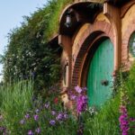 From Hamilton Hobbiton Waitomo Glowworm Caves 1 Day Private Tour - Pricing and Value