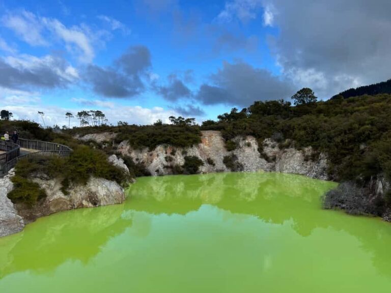 From Hamilton - WAI-O-TAPU, Redwood & Blue Springs Day Tour - Practical Tips & Considerations
