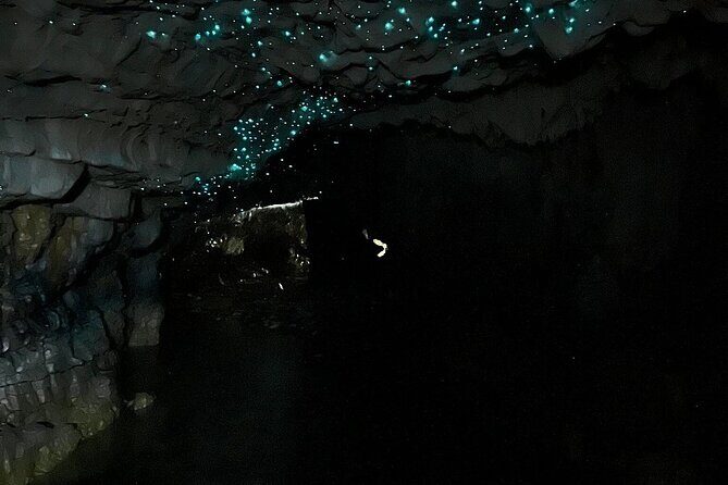 From Hamilton: Waitomo Glowworm & Cave Explorer Small Group Tour - Detailed Itinerary Breakdown