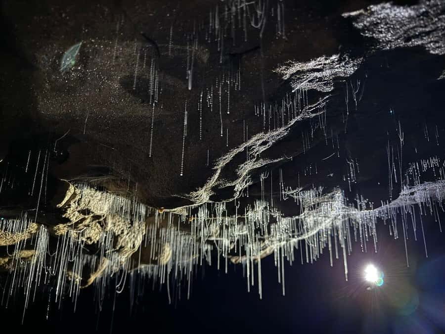 From Hamilton: Waitomo Glowworm Caves Explorer Small Group - Practical Details: Making the Most of Your Day