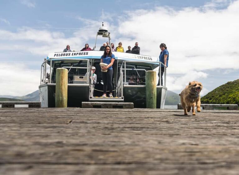 From Havelock: Marlborough Sounds Mail Boat Full-Day Cruise - Who Is This Tour Best For?