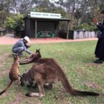 From Haymarket: Hunter Valley Wine and Wildlife Day Trip - Why This Tour Works Well