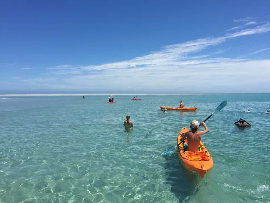 From Hervey Bay: Half-Day K'gari Fraser Island Beach Cruise - What Sets This Tour Apart?