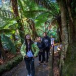 From Hobart: Mt. Field, Mt. Wellington and Wildlife Day Tour - Practical Details and What to Expect