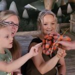 From Houston: Crocodile Encounter Entry Ticket - What to Expect at Crocodile Encounter