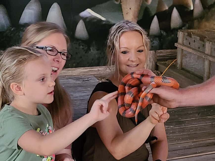 From Houston: Crocodile Encounter Entry Ticket - What to Expect at Crocodile Encounter