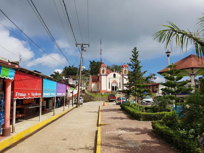 From Huatulco: 3 Levels, Coffee, Culture, and Nature Tour - The Sum Up