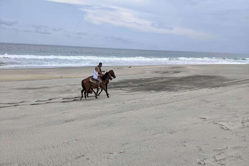 From Huatulco: Beach Horseback Riding Experience - The Sum Up